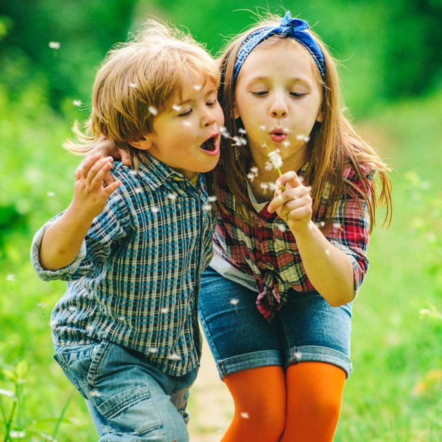 Cereal Docks Group - CerealDocks