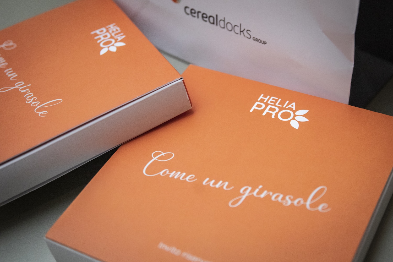 Cereal Docks Launches HeliaPro: The Innovative Sunflower Flour for the ...